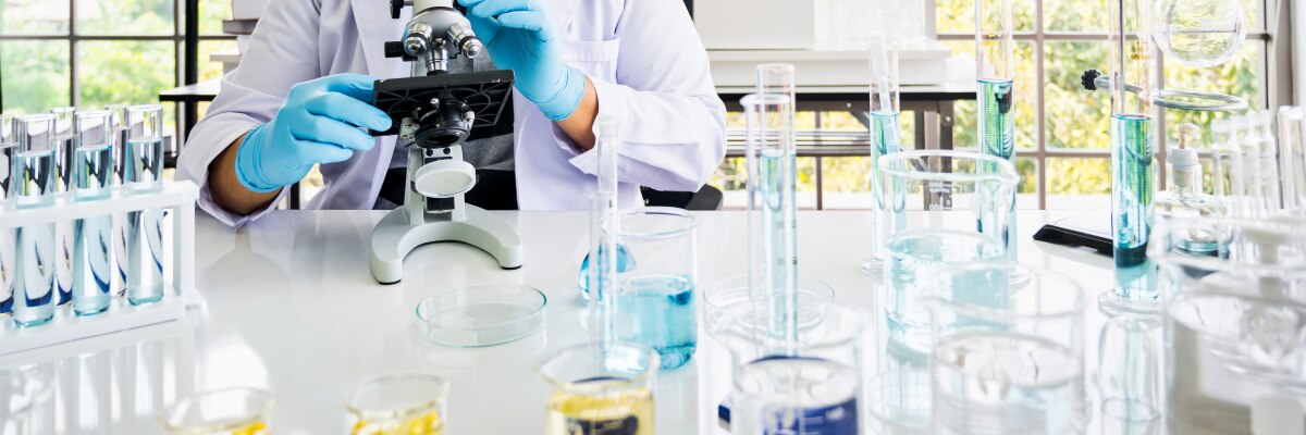 Welcome to the store